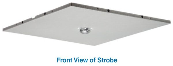 System Sensor L-Series Ceiling Tile Speaker Strobes - Fox Valley Fire ...